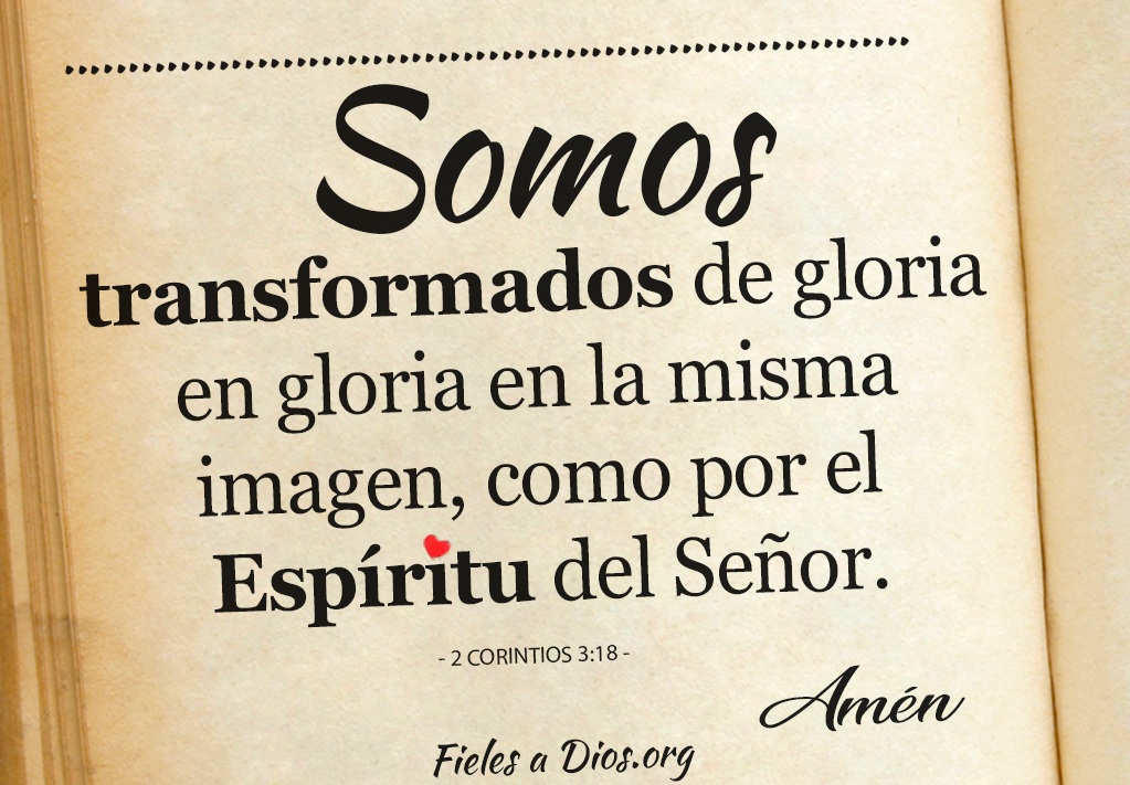 ¿Cómo Transformar mi Vida con el Poder de la Palabra de Dios? | Fieles ...