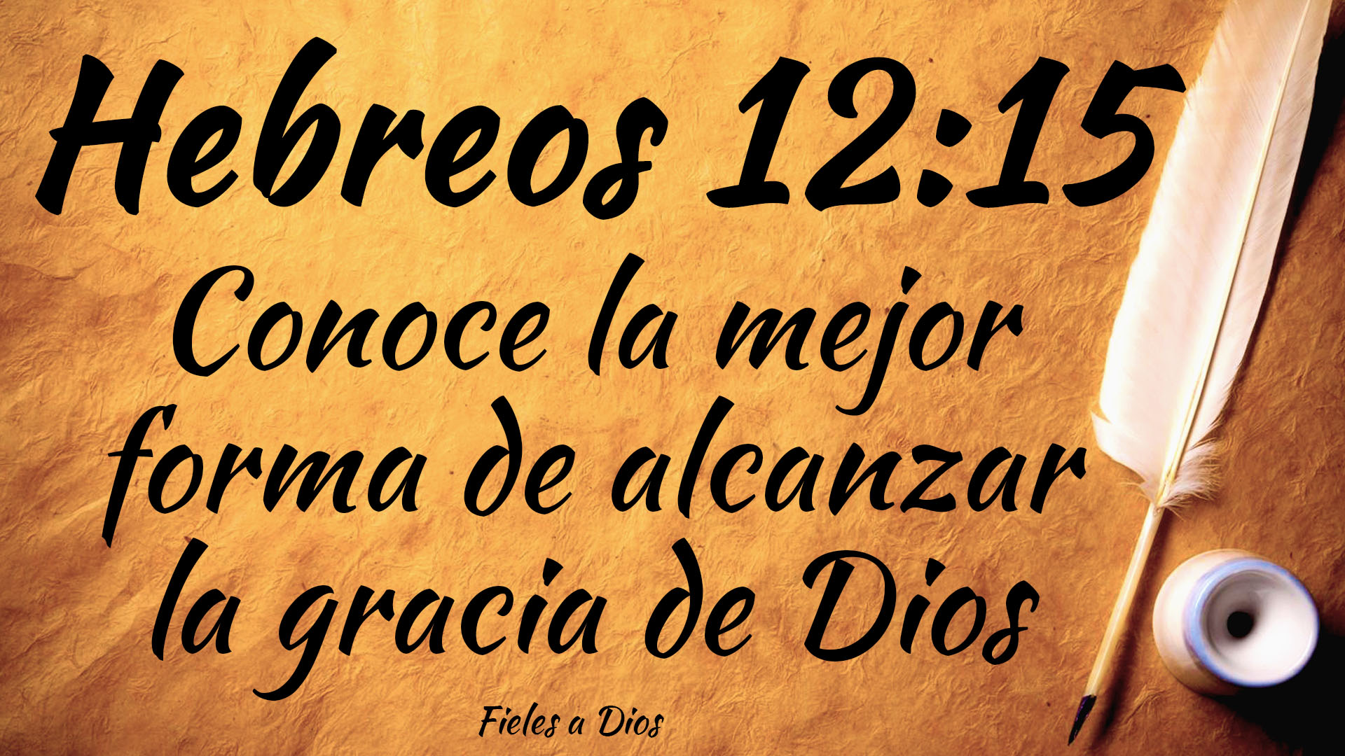 Hebreos 12:15 – Conoce la Mejor Forma de Alcanzar la Gracia de Dios ...