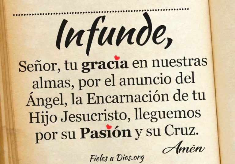 ¿Cómo se reza el Ángelus? - Fieles a Dios