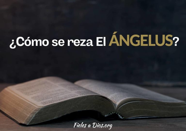 ¿Cómo se reza el Ángelus? - Fieles a Dios