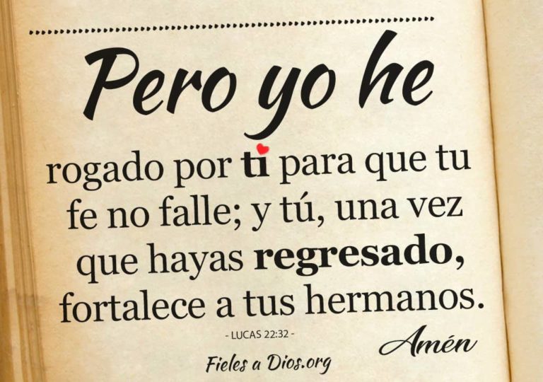 ¿Qué es una Oración Intercesora? ¡Aprende a Orarla Correctamente ...