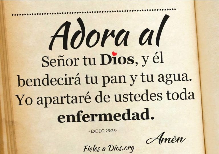Oración a la Virgen de la Salud para Pedir un Milagro de Salud - Fieles a Dios